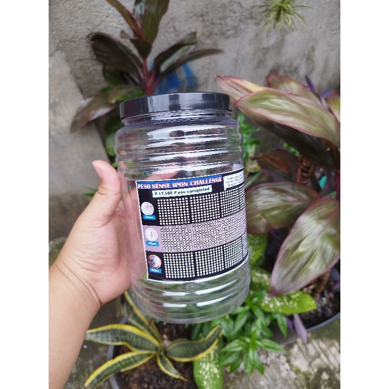 student ipon challenge alkansya transparent 5,10,20 coins bank | Shopee ...