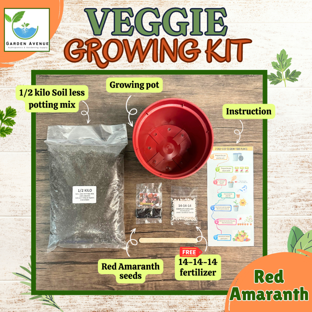 RED ALUGBATI GROWING KIT - READY TO USE/COMPLETE PACKAGE/POT/SOIL/SEEDS ...