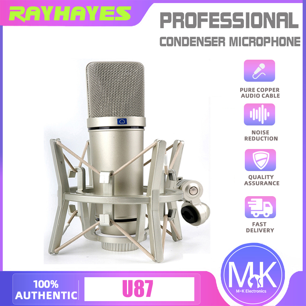 RAYHAYES U87 Condenser Mic with Shock Mount and Mic Cable for Recording ...