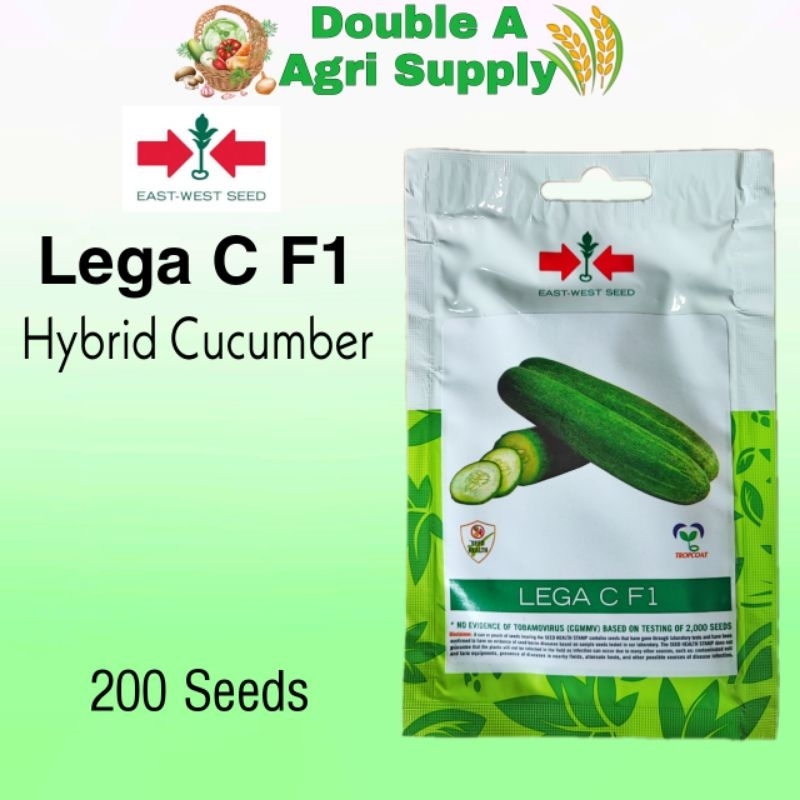 Lega C F1 Hybrid Cucumber Asenso Pack - East West Seed | Shopee Philippines
