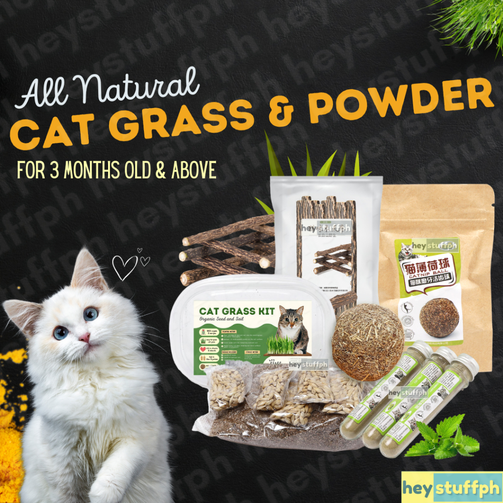 Catnip Treat, Chew Stick, and Cat Grass Kit for Cats | Shopee Philippines