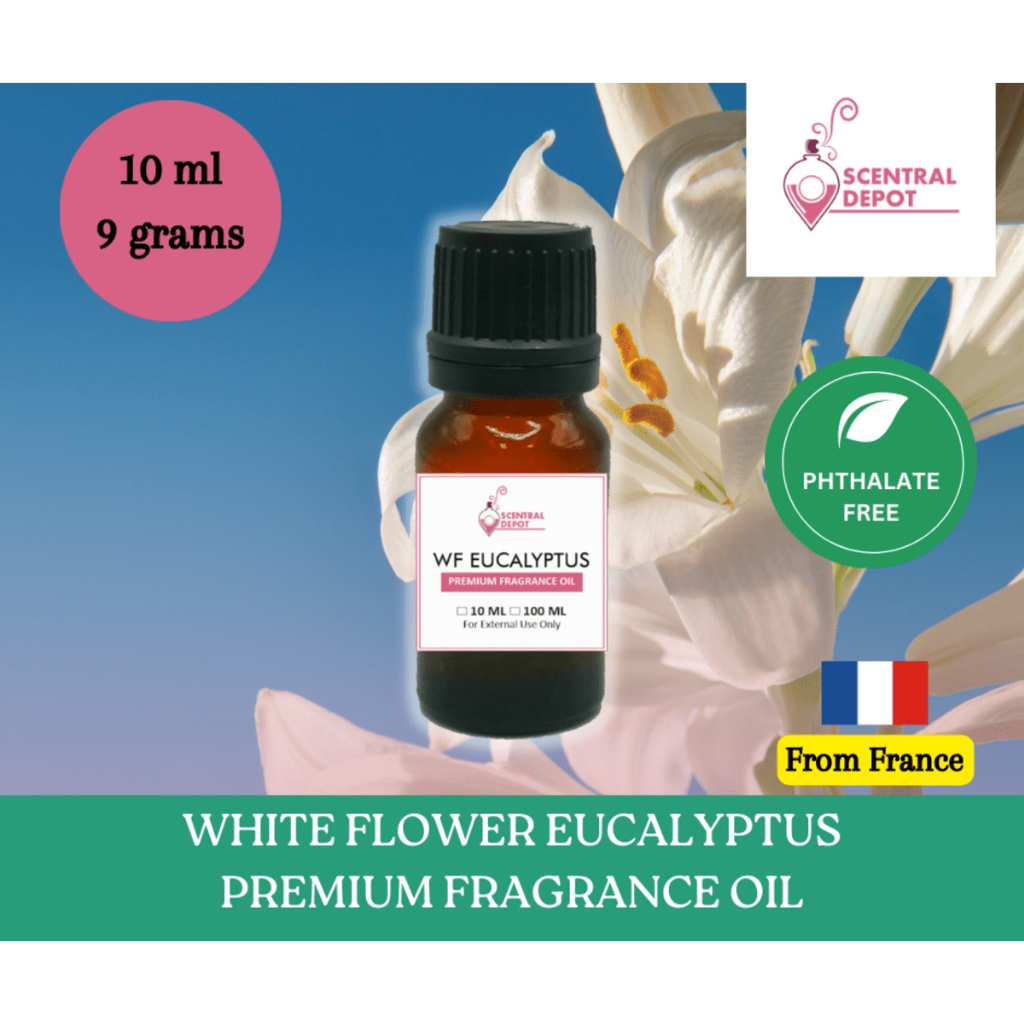 WHITE FLOWER EUCALYPTUS Fragrance Oil for Candles, Soaps, Diffuser ...