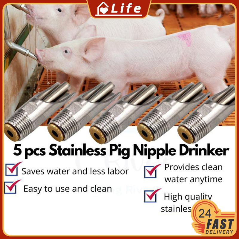 Stainless Steel Dispenser For Pig Automatic Water Feeder For Pigs ...