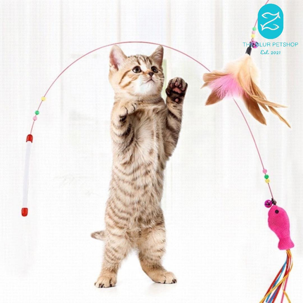 Retractable Stick Rod Funny Interactive Toy Cat Teaser Pet Cat Puppy ...