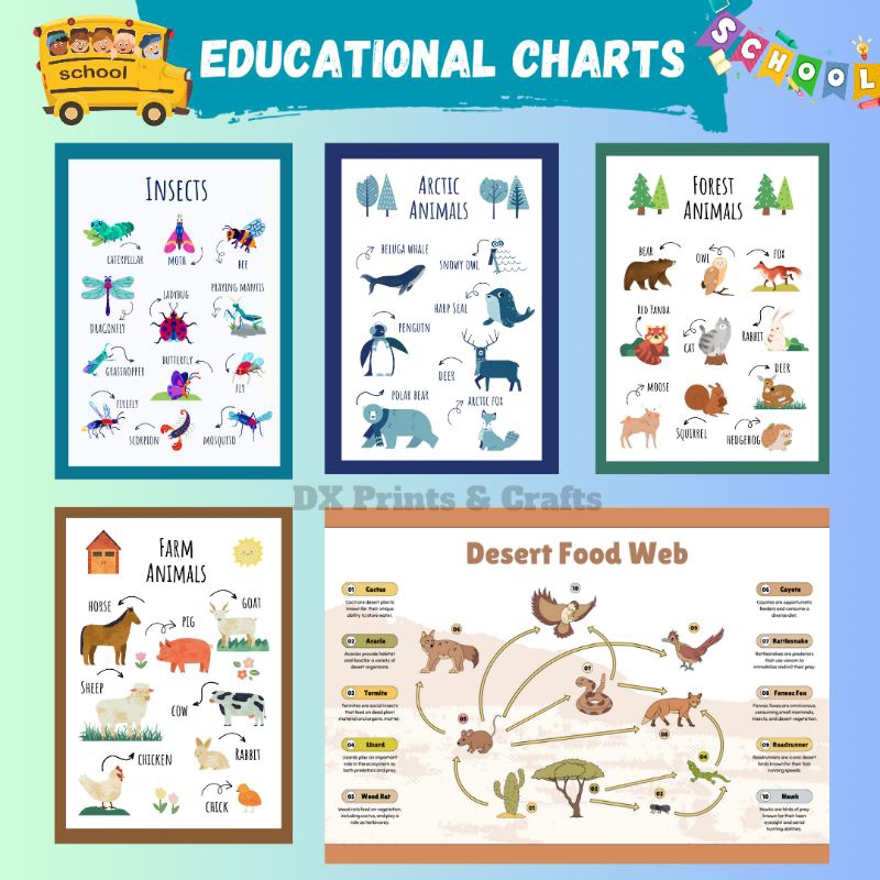 Laminated Educational Chart (Animals) | Shopee Philippines