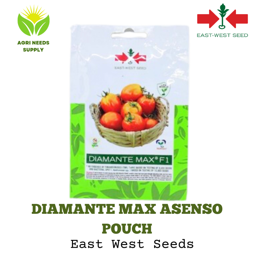 East West Seed Diamante max tomato(kamatis) asenso pouch( ligo size ...