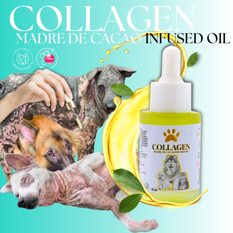 Healing Oil for Pets – Madre de Cacao + Collagen | Anti-Mange, Itch ...