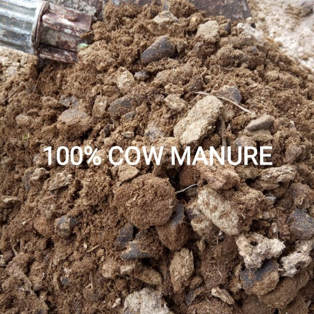 1KILO DRIED COW MANURE GOOD FOR YOUR LOVELY PLANTS | Shopee Philippines