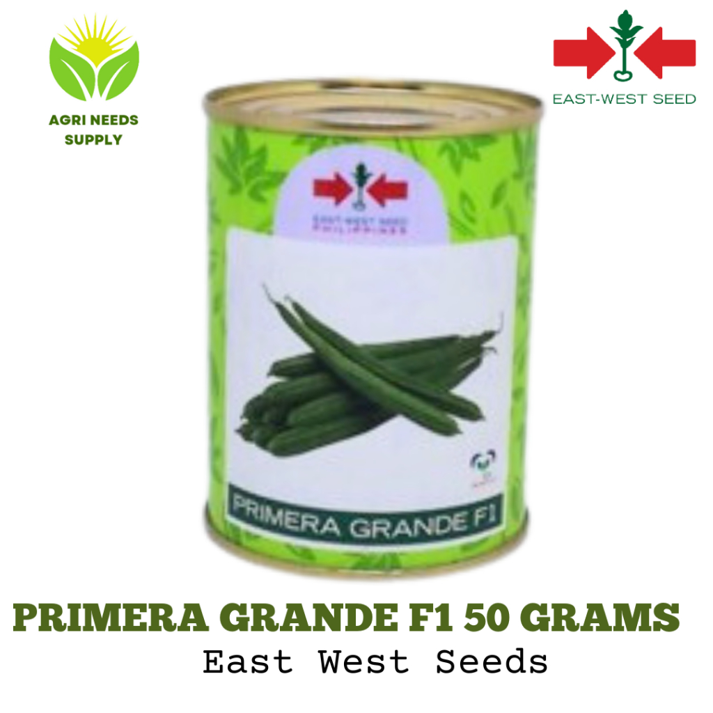 Patola Primera Grande F1 / East West Seed 50gms | Shopee Philippines