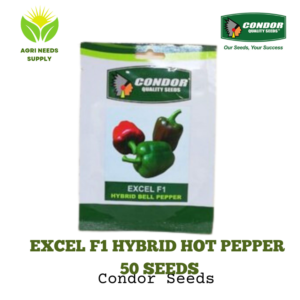 Hybrid Pepper Excel F1 Condor Sachet 50seeds | Shopee Philippines