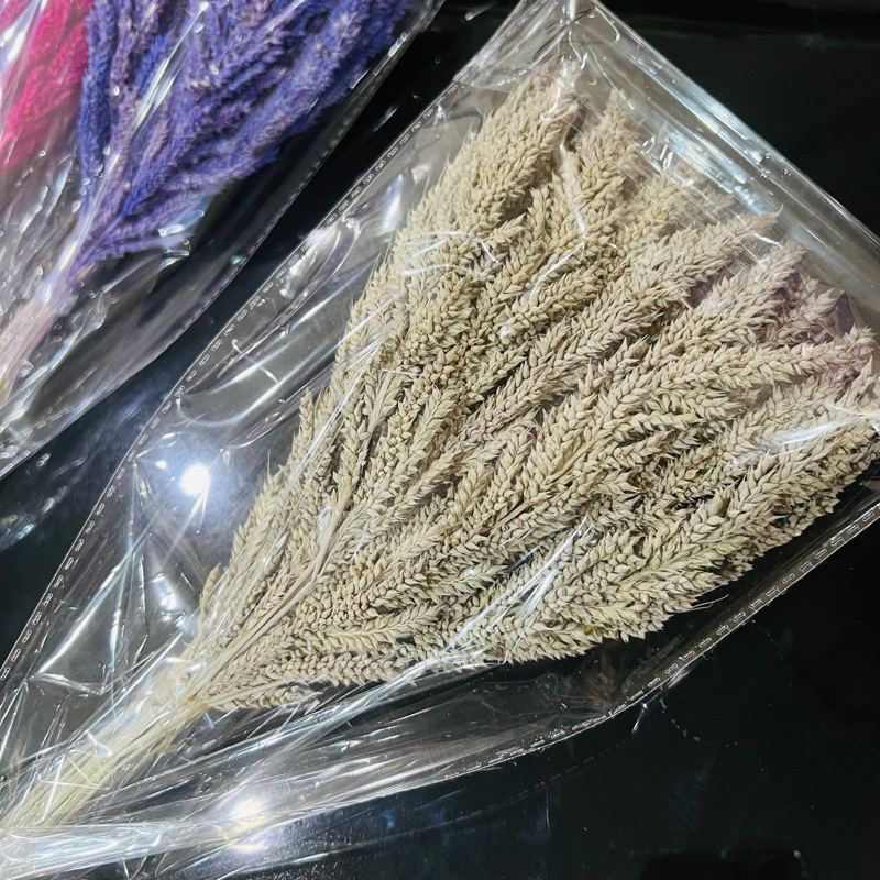 Dried Trigo Grass(LOCAL) | Shopee Philippines