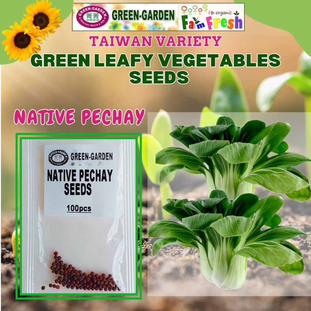 Super Sale !!! Native Pechay Seeds (100pcs/pack) | Shopee Philippines