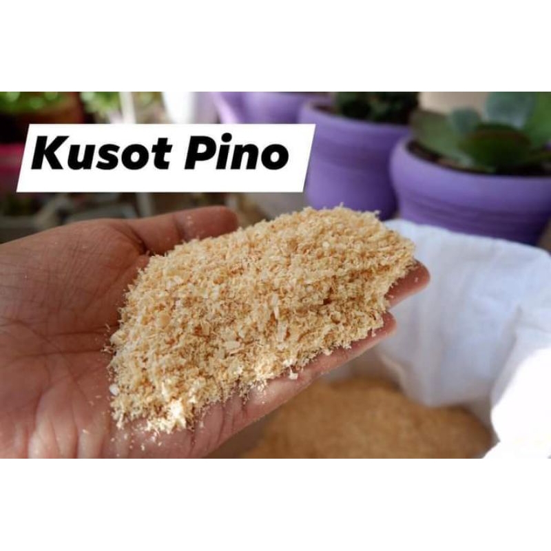 Sawdust (kusot pino) alternative catlitter sand | Shopee Philippines