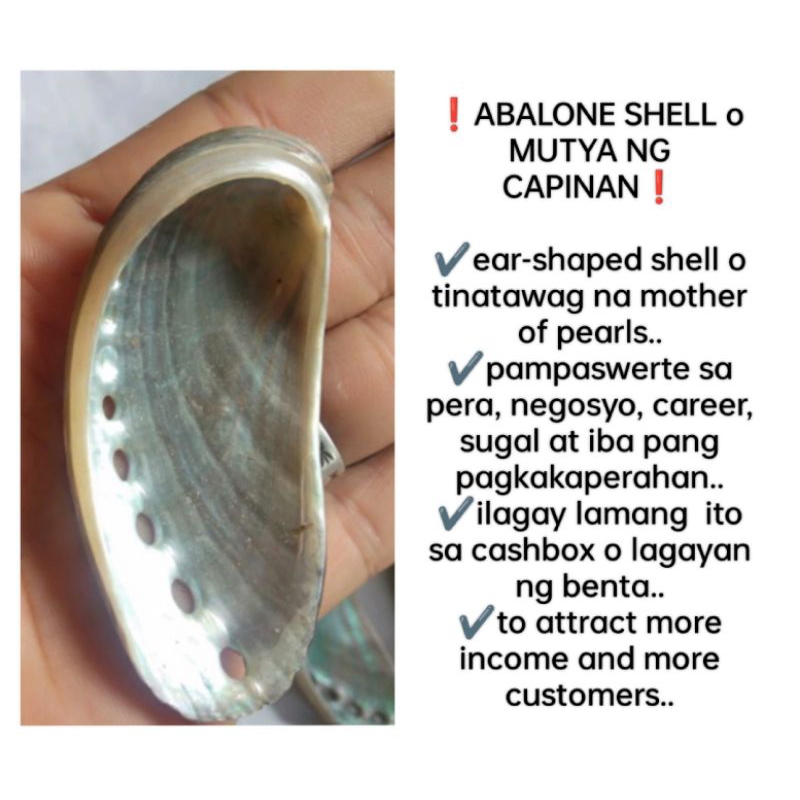 Abalone Shell Charm Blessed ready to use | Shopee Philippines