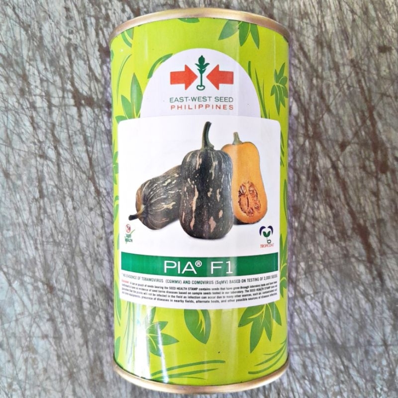 PIA F1 HYBRID BUTTERNUT SQUASH / KALABASA SEEDS (100 GRAMS) by EAST ...
