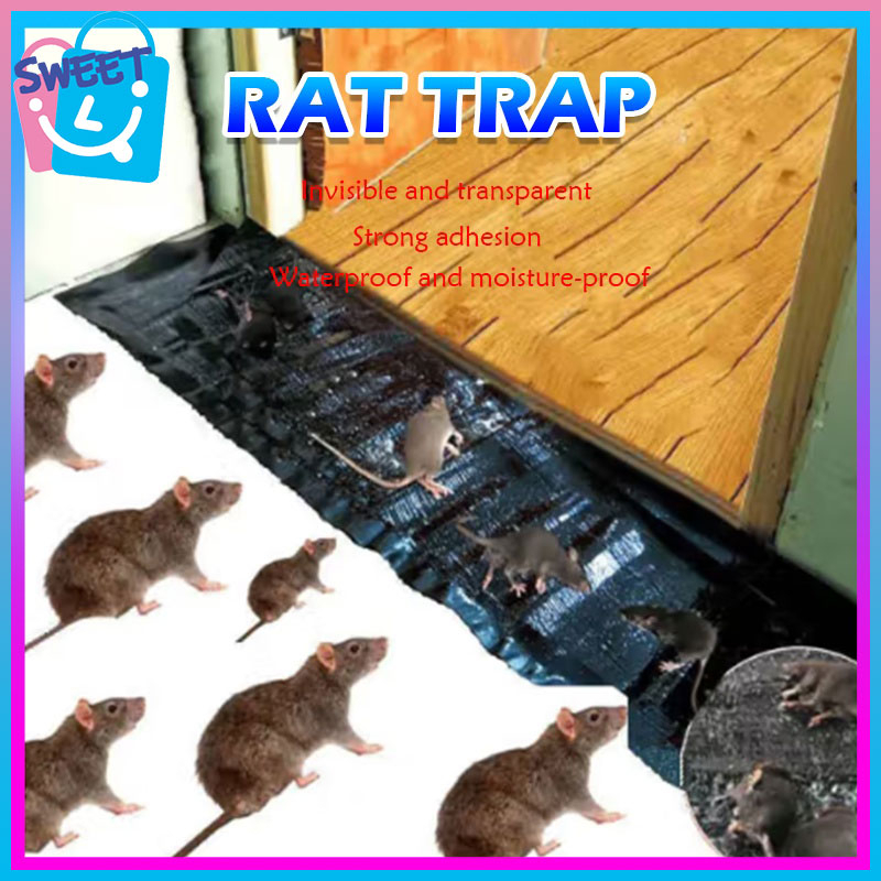 SWEET Trending Original Mouse and Rat Catcher Glue Trap Rodent Expert ...