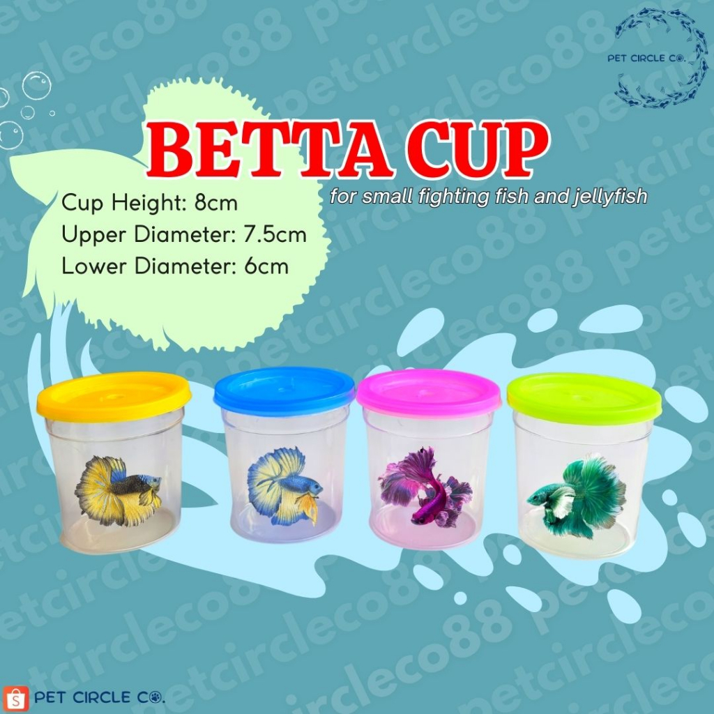 Fish Betta Cup with Lid Fighting Fish Betta Cup | Small Betta Tank ...