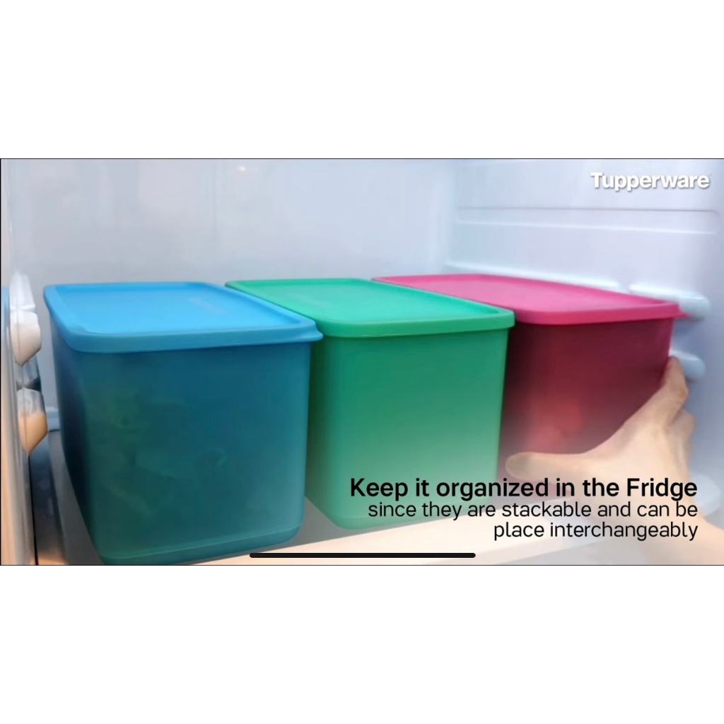 3L Fridge Organizer Fresh Food storage Double pak n stor tupperware ...