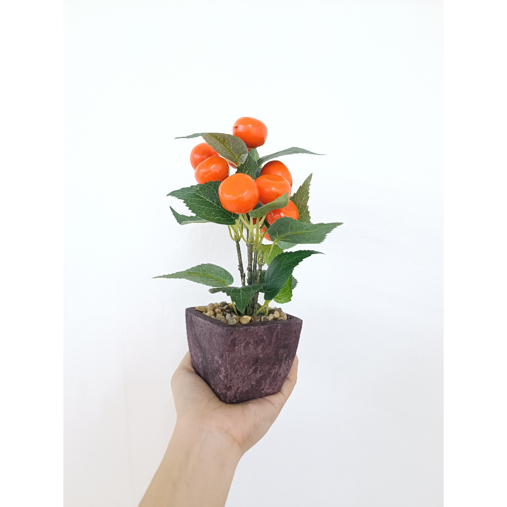 Bonsai Kiat Kiat Artificial Plant Bonsai A Small Trees Growing in a ...