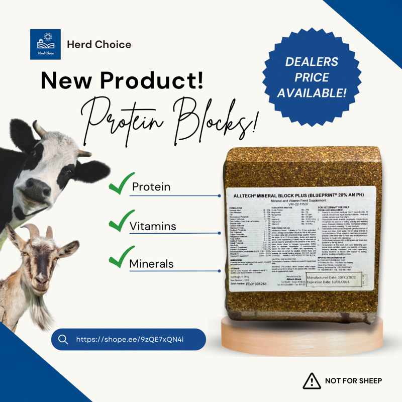 Protein Block (20% All natural crude protein) Rumsol Mineral Block Plus ...