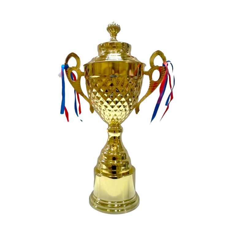 Aktive METAL Trophy Award for Collection (Big Trophy) | Shopee Philippines