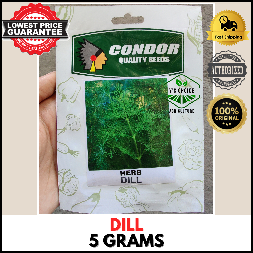 CONDOR SEEDS - HERB SEEDS - DILL 5 Grams | Shopee Philippines