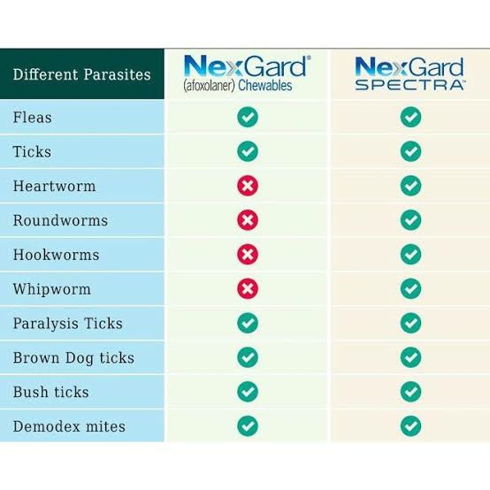 Nexgard and Nexgard Spectra Anti Tick & Flea with FREE Sticker Chewable ...