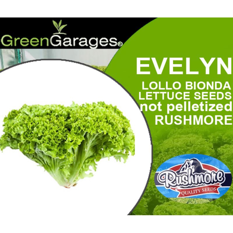 Evelyn Lettuce Lollo Bionda 500 Repacked seeds | Shopee Philippines