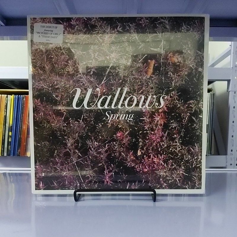 WALLOWS Spring EP Pink/Green Vinyl | Shopee Philippines