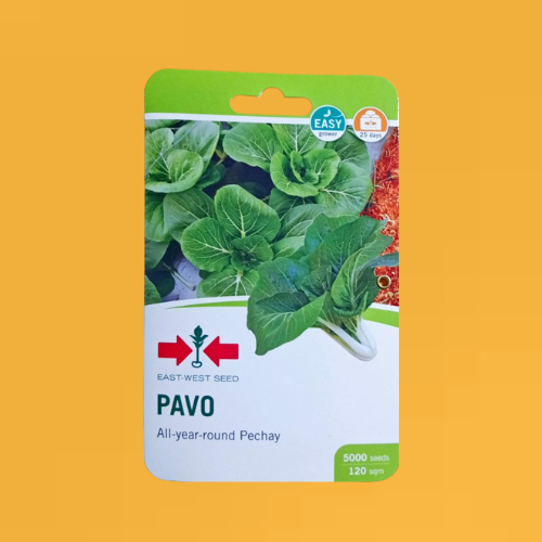 PAVO Black Behi PECHAY SEEDS by Eastwest | Shopee Philippines