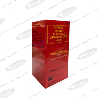 forza - Best Prices and Online Promos - Aug 2024 | Shopee Philippines