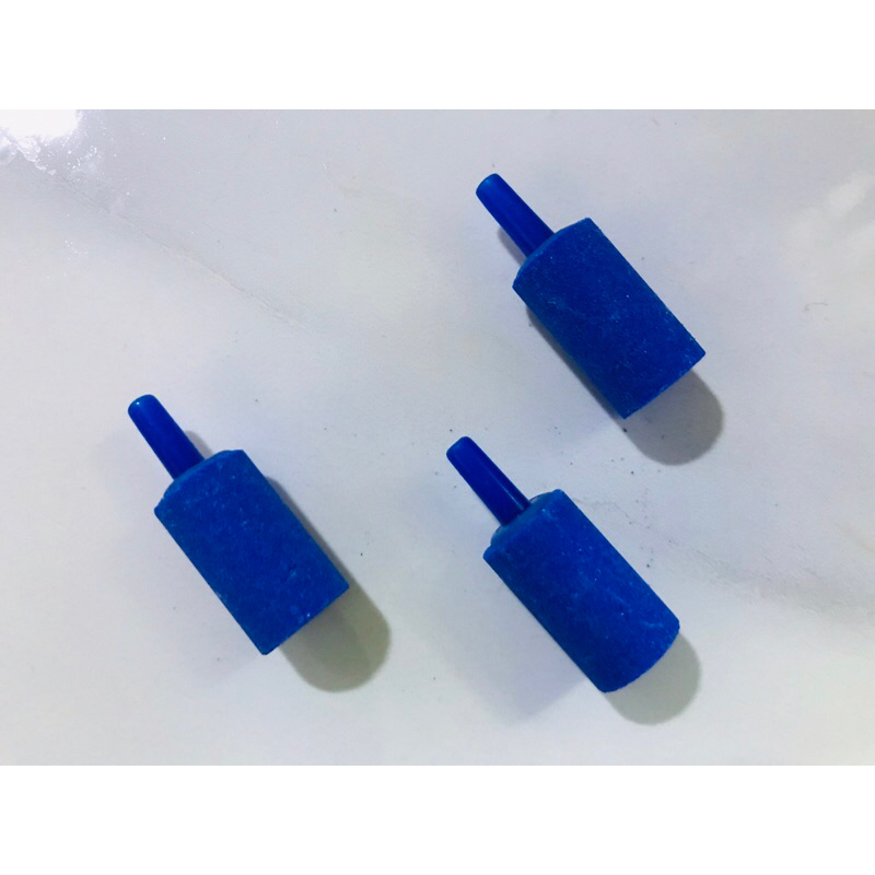 AIR STONE (Small size) | Shopee Philippines