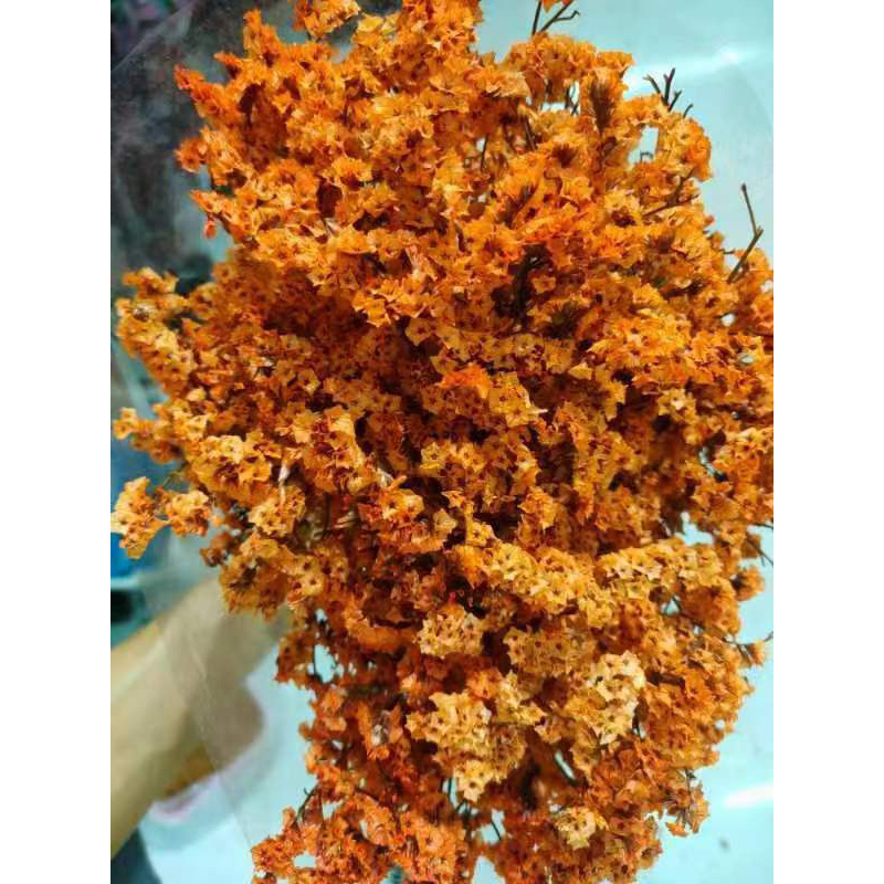 Caspia Misty White Dried flower per Bundle | Shopee Philippines