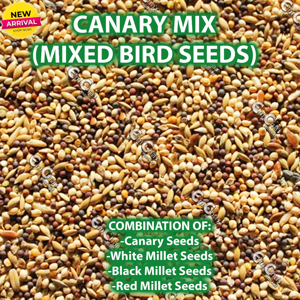 500g Mixed Seeds (Canary Mix) Canary Mixed Seeds Bird Feeds (Brd) Mixed ...