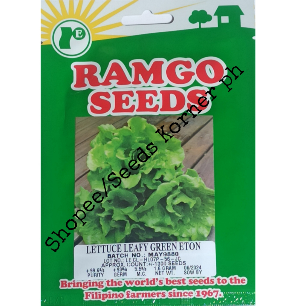 Ramgo Seeds Lettuce Green Leafy Eton Original and High Quality | Shopee ...
