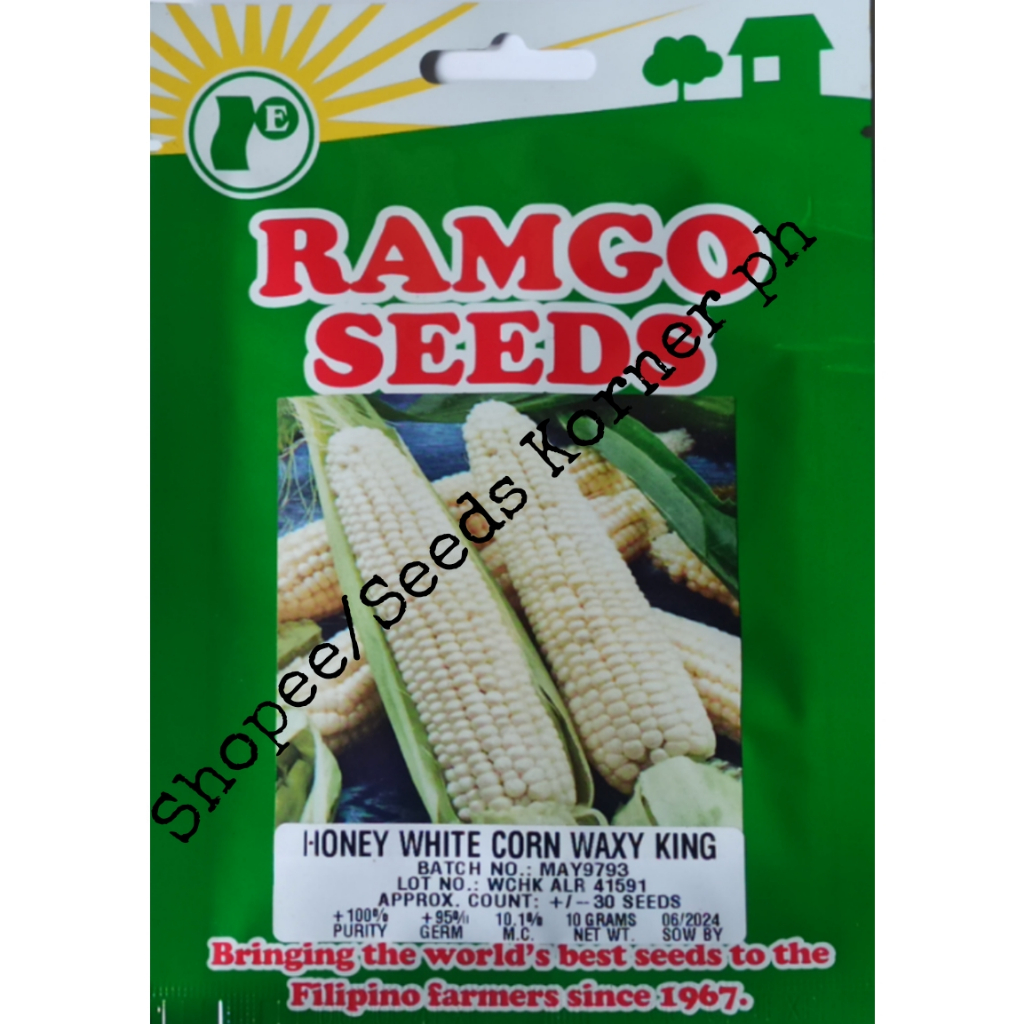 Ramgo Seeds Honey White Corn Waxy King Original and High Quality ...