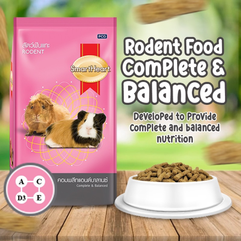 SMART HEART RODENT 1kg | Shopee Philippines