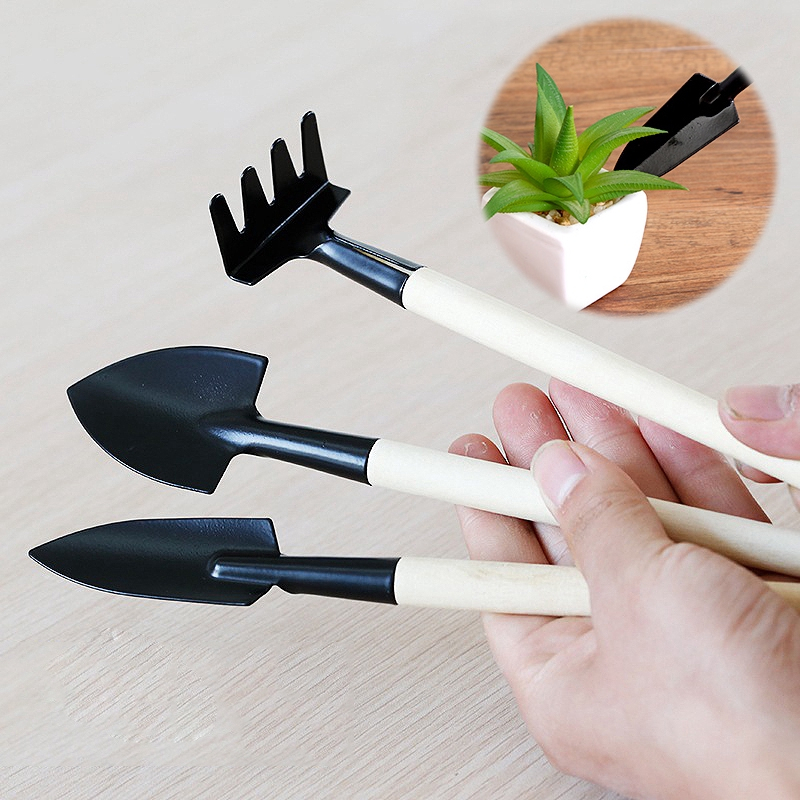 3pcs Mini Succulent Garden Tools Kit with Wood Handle for Cultivating ...
