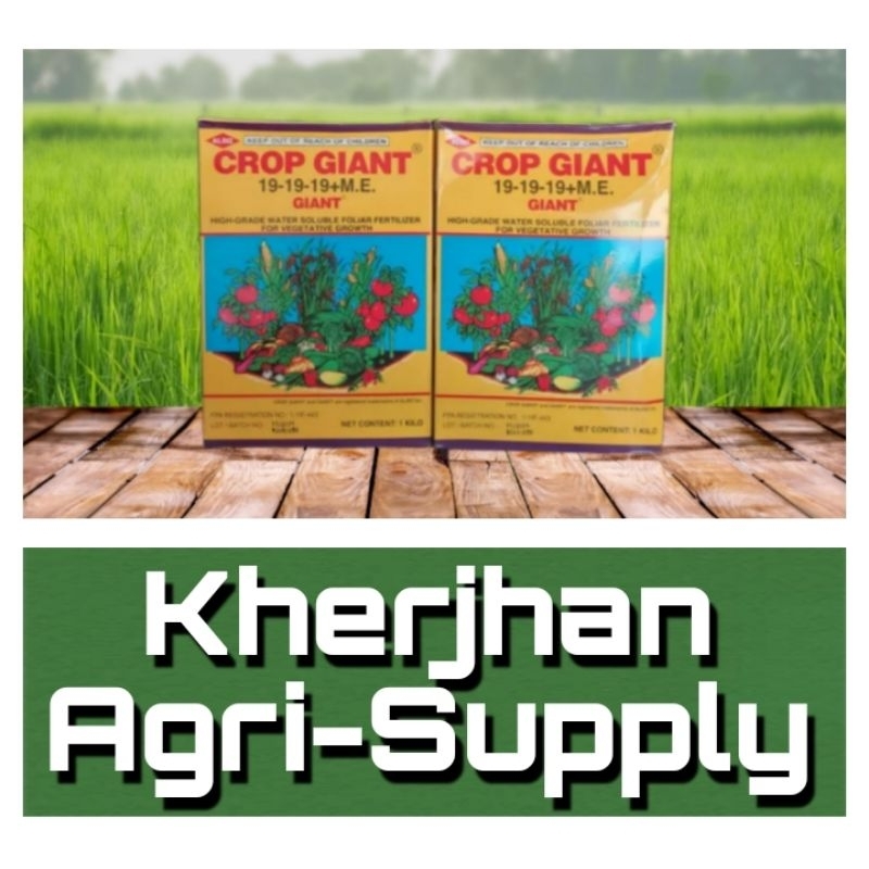 CROP GIANT 19-19-19+M.E (1KILO) | Shopee Philippines