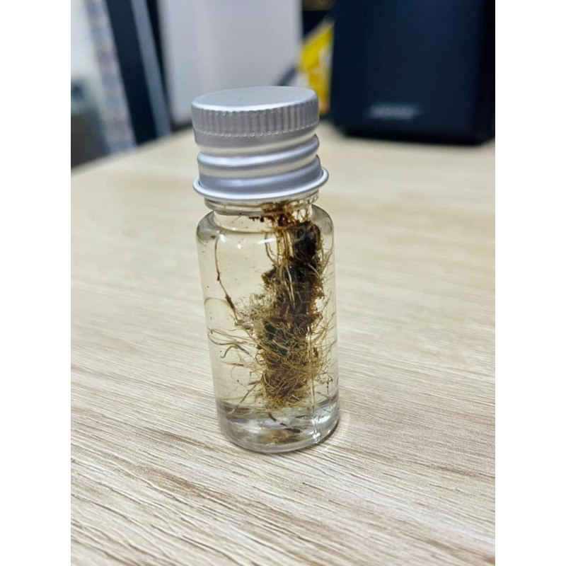 Langis na may Hibla ng Niyog na Walang Mata | Shopee Philippines