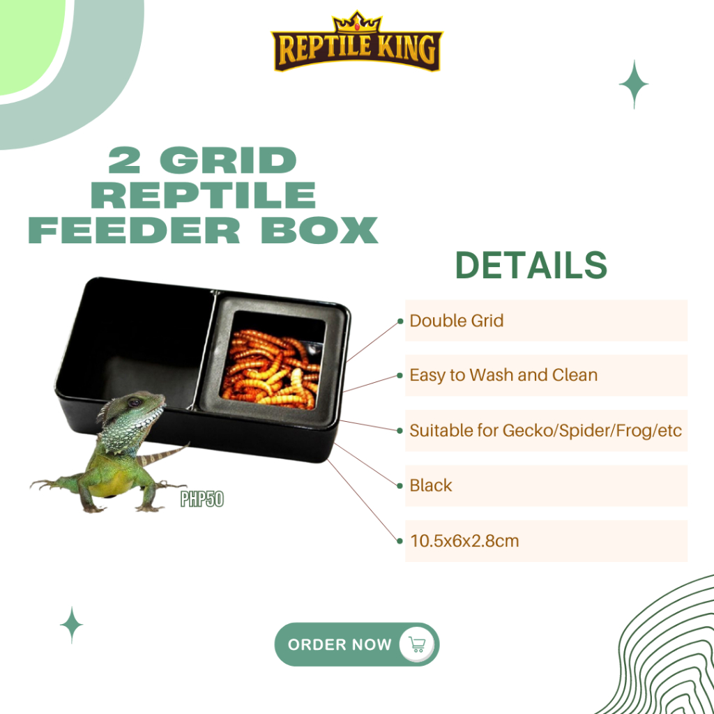 2 Grid Reptile Plastic Feeder Box Water Dish Bearded Dragon Gecko ...