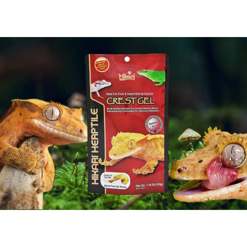 HIKARI CREST GEL 50g for crested gecko & fruit/insect eating reptiles ...