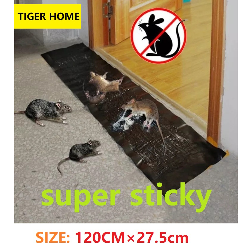 Mouse rat glue trap for the doorway Rodent Glue Board Rat Sticky Trap ...