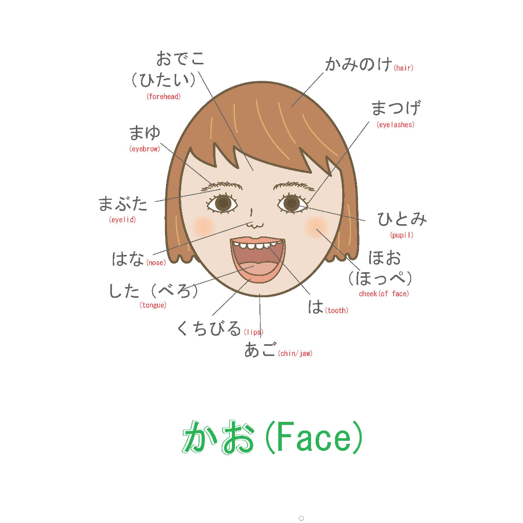 Body Parts in Japanese (Laminated) | Shopee Philippines