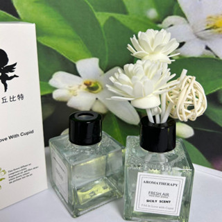 room perfume - Best Prices and Online Promos - Jan 2024 | Shopee Philippines