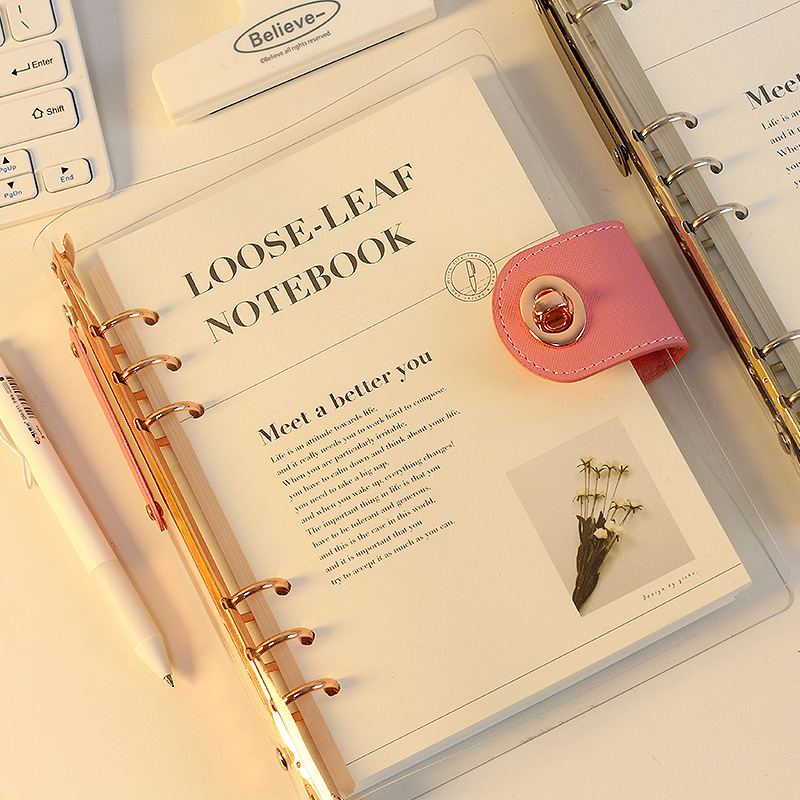 A5/B5 High profile locking looseleaf book detachable beautiful notebook ...