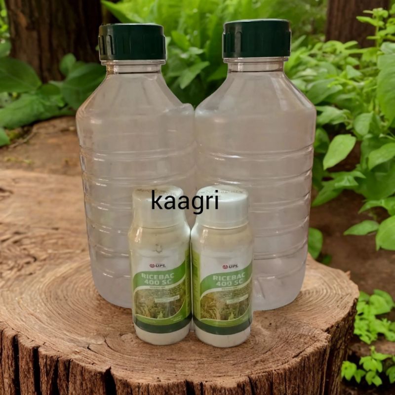 Ricebac Herbicide 100ml - Systemic Weed Control for Direct-Seeded Rice ...