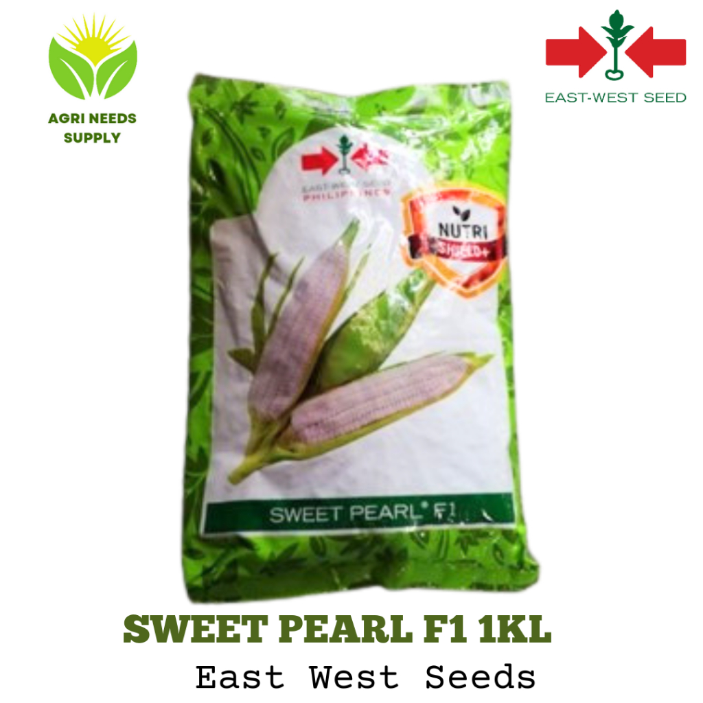 Sweet Pearl Corn F1 East West Seeds 1kl | Shopee Philippines