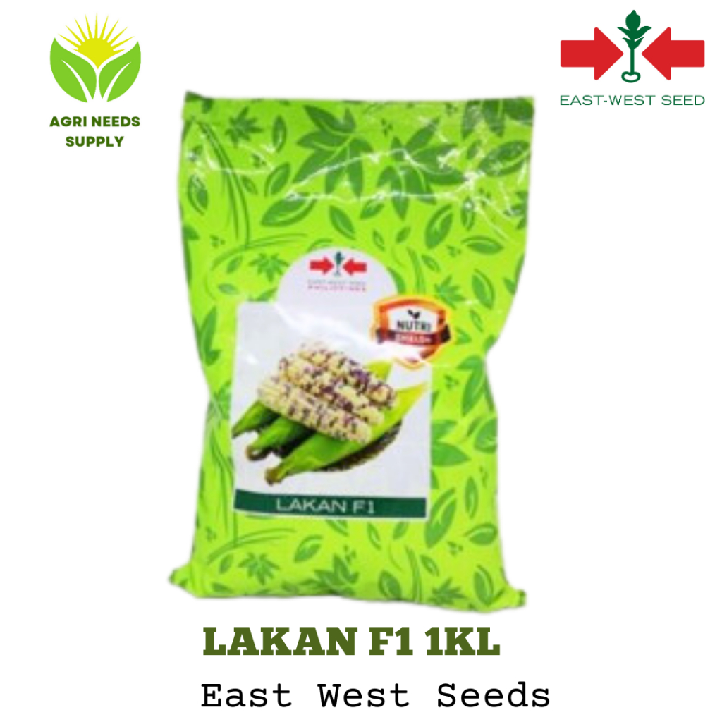 Lakan F1 Sweet Corn East West Seeds (1kg) | Shopee Philippines