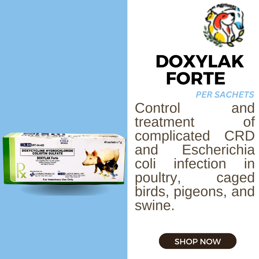 [AGRIVET] DOXYLAK FORTE SACHET Water Soluble Powder Antibacteria for ...